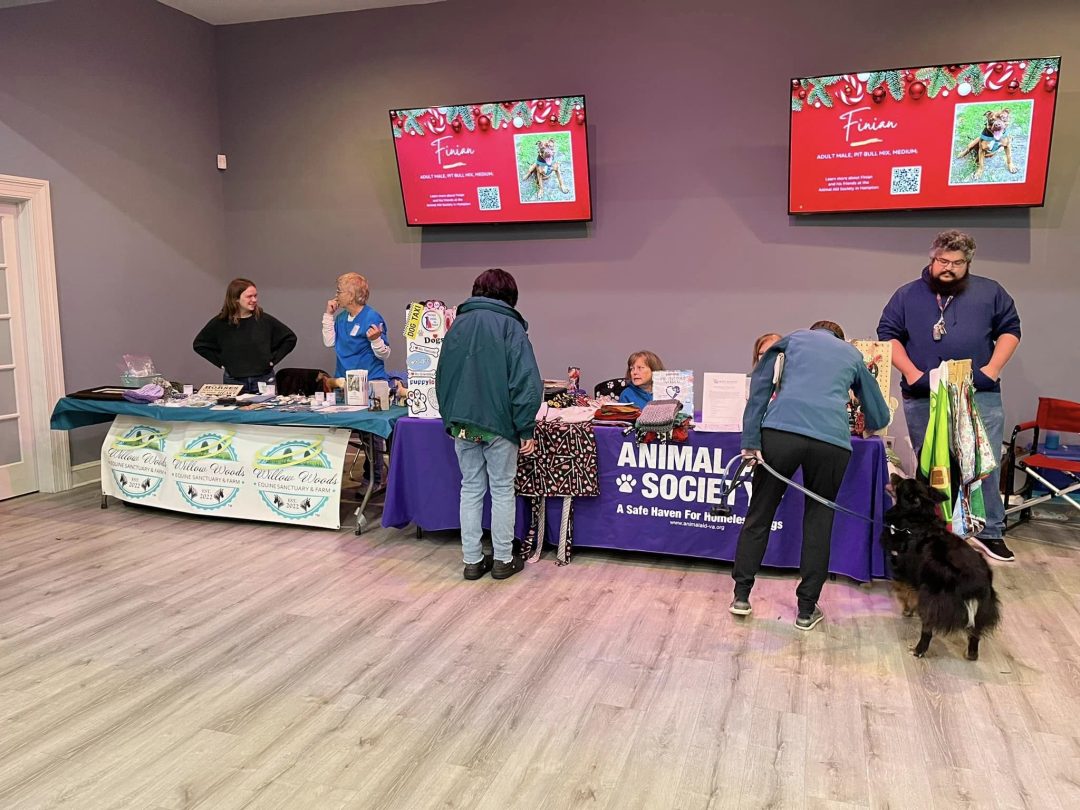 Dog Walking Club - Critter Sitters and More