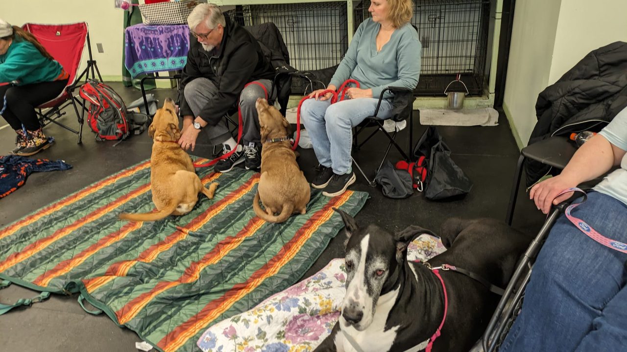 Peninsula Pups Social Club - Critter Sitters and More