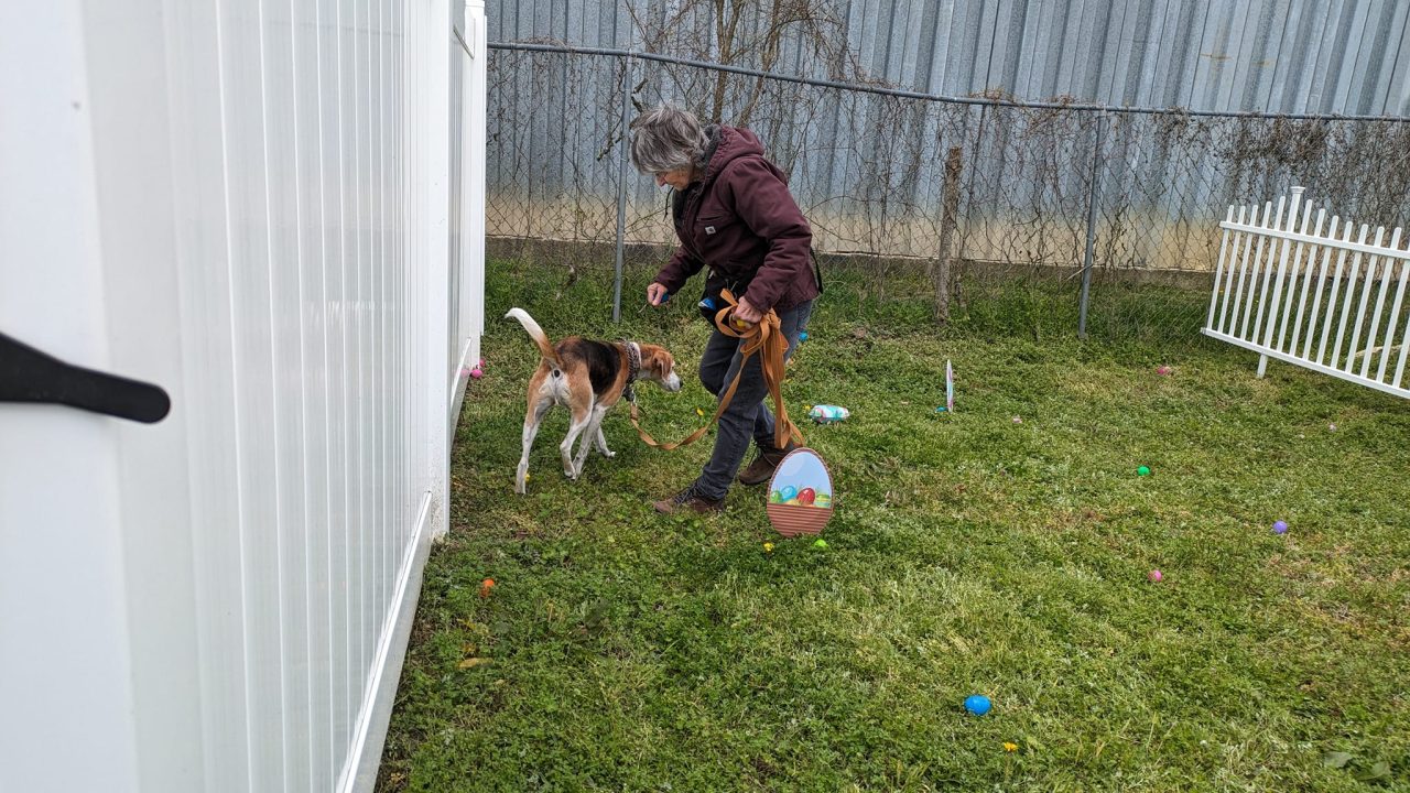 Peninsula Pups Social Club - Critter Sitters and More