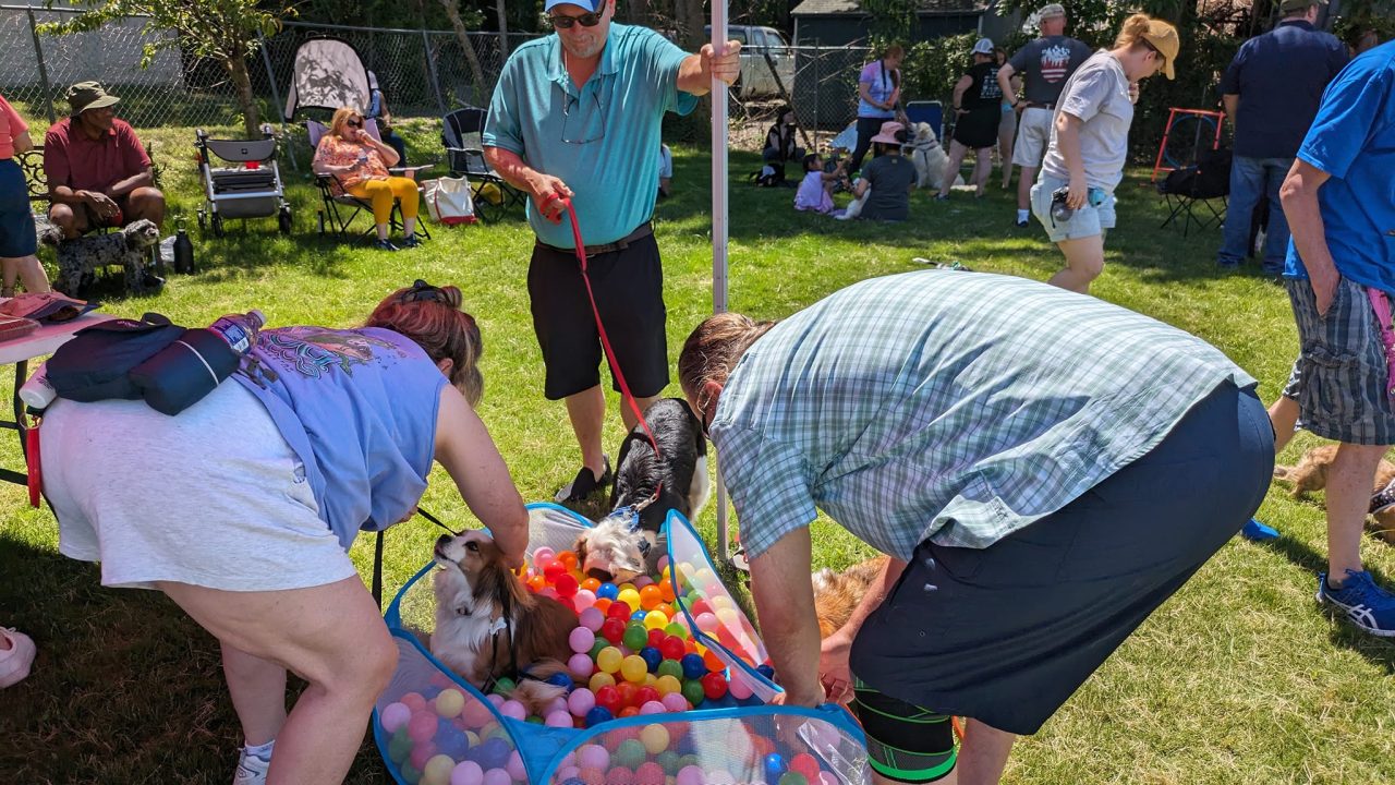 Peninsula Pups Social Club - Critter Sitters and More