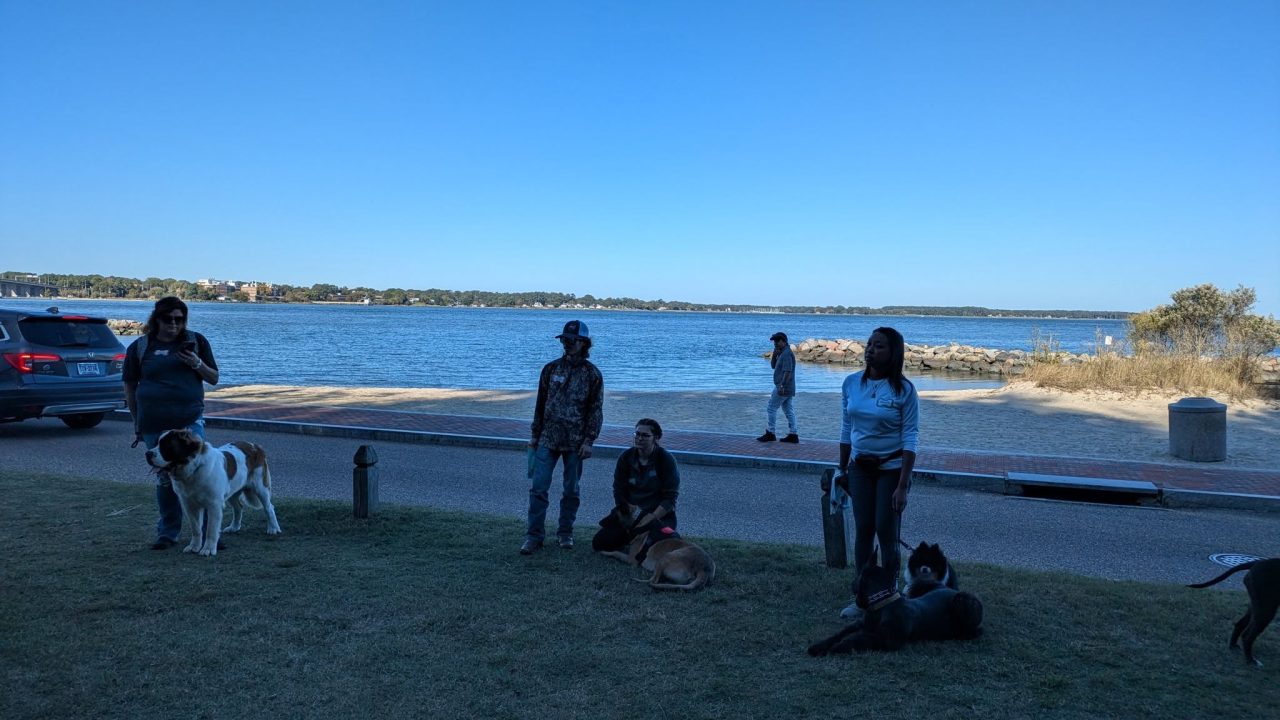 Peninsula Pups Social Club - Critter Sitters and More