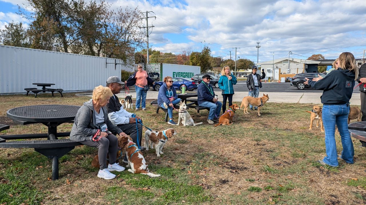 Peninsula Pups Social Club - Critter Sitters and More