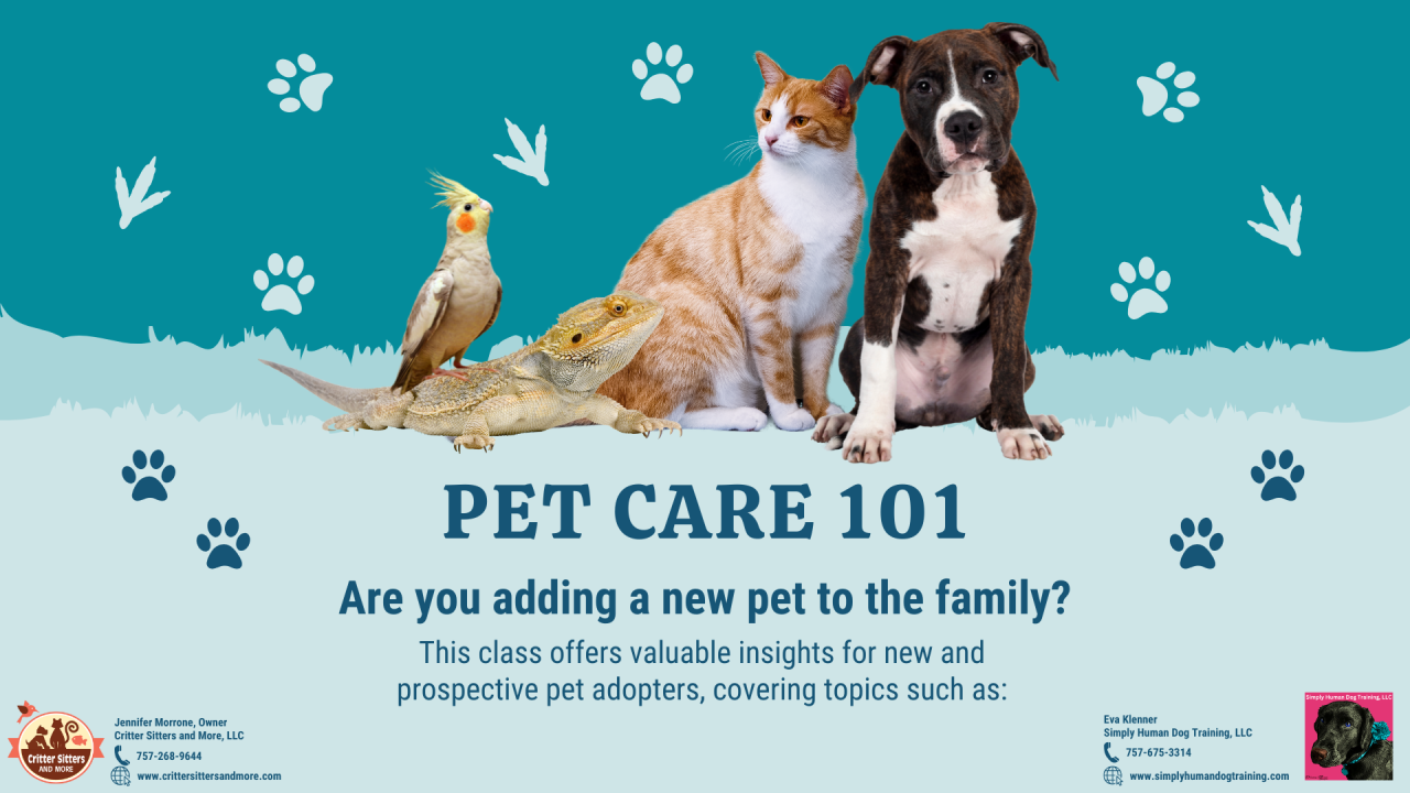 Pet Care 101 - Critter Sitters and More